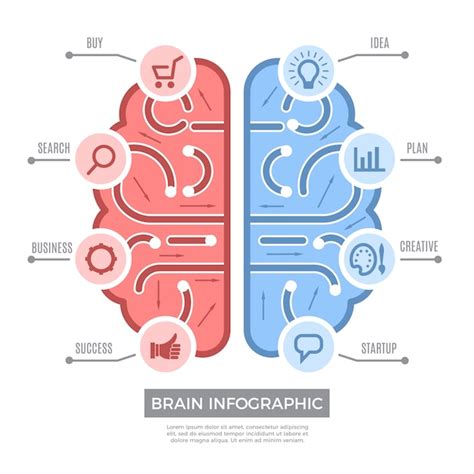 Gehirn Infografik Konzeptionelles Denken Lernsymbole kreative Geschäftsbilder mit Platz für