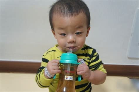 아기 보리차 시기 신생아 보리차 보관법 네이버 블로그