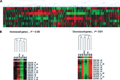 Gene Clustering Analysis Reveals Unique Subset Of Genes Differentially