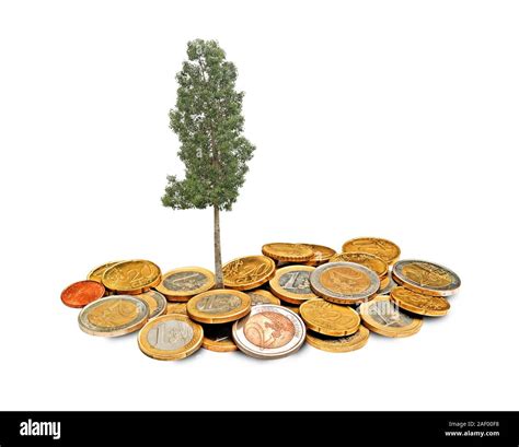 Tree Growing From Coins Stock Photo Alamy