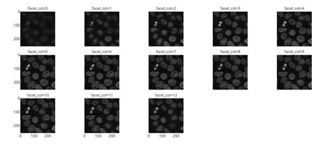 📣 Announcing Plotlypy 414 Faceted And Animated Images And Heatmaps Inside Tick Labels