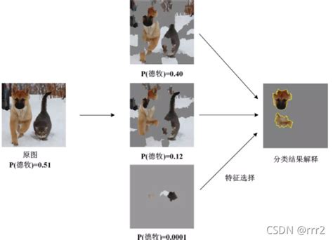 【cnn可解释性】 特征可视化技术——cam lime grad cam 2021 2022 csdn博客