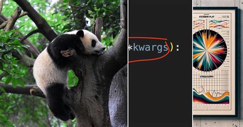 List Python Tips Tricks And Packages Curated By Dhg Medium