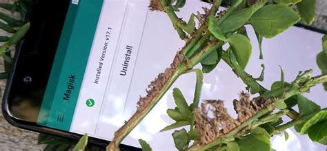 How To Root Your OnePlus Using Magisk OnePlus Gadget Hacks