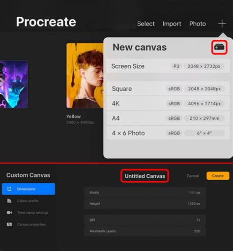 Best Procreate Canvas Settings Step By Step On How To Set Up Your Canvas