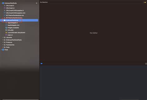 Adding The Embrace Sdk Embrace Documentation