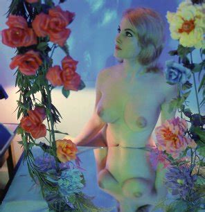 Sharon Tate Porn Pic