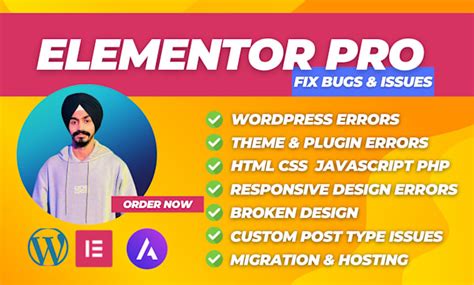 fix wordpress issues errors bugs html css elementor pro divi