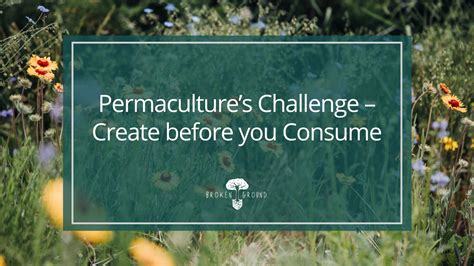 Permacultures Challenge Create Before You Consume Broken Ground Permaculture