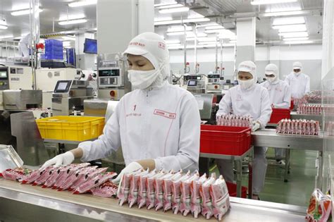 Khám Phá Ngay Top Công Ty Thực Phẩm Bình Dương