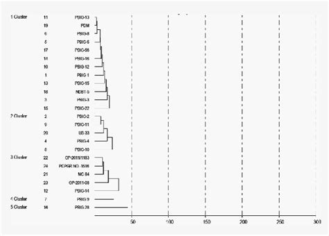 Clustering Pattern Of Different Genotypes By Tocher S Method Download Scientific Diagram