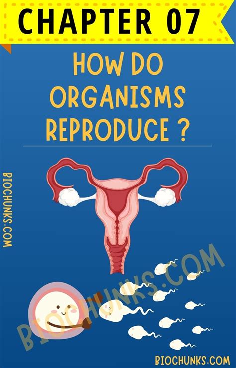 How Do Organisms Reproduce Biology Notes Cbse Ncert Life Sciences Notes