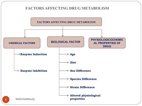 Factors Affecting Drug Metabolism Pptx