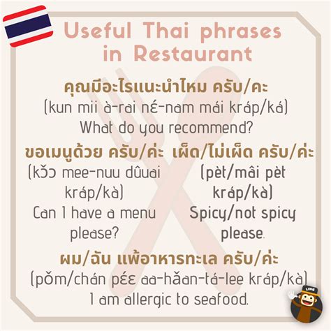 Some Useful Thai Phrases In Restaurant Rlearnthai