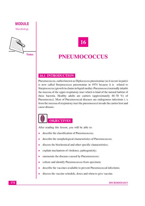 pneumococcus module pneumococcus microbiology notes 16 pneumococcus