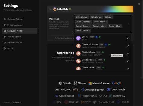 Полное руководство по ограничениям и LobeHub