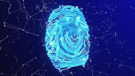 Human Identification Criminology Criminal Law Fingerprint Pattern Of