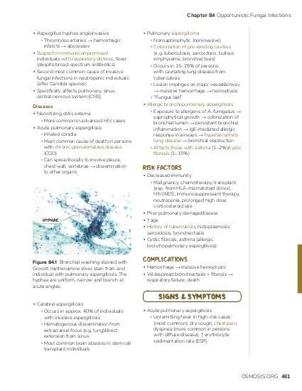 Cryptococcus Neoformans Video Causes Meaning Osmosis