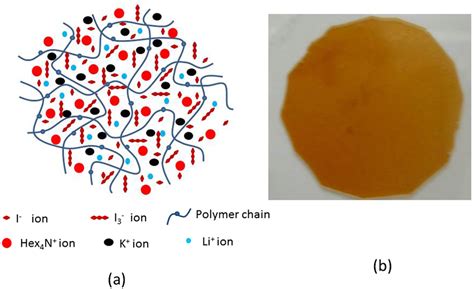 Schematic Representation Of Deigned Dssc Model With Various Components Download Scientific