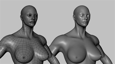 Muscular Female Anatomy Basemesh Topology UV Map D Model By Tsering