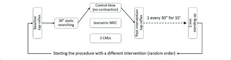 Experimental Flow Chart Download Scientific Diagram
