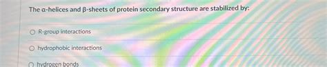 Solved The α Helices And β Sheets Of Protein Secondary
