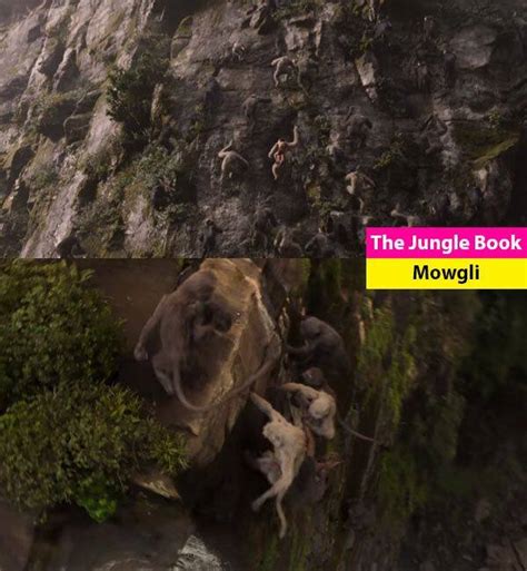 Mowgli Vs The Jungle Book Heres Comparing The First Footage Of Both