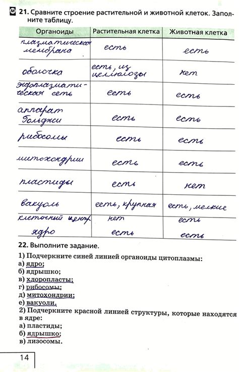 Решено Стр 14 ГДЗ Рабочая тетрадь Сонин 6 класс по биологии