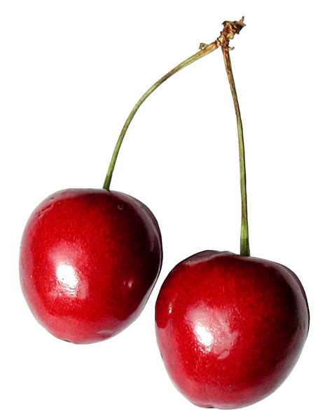 Cherry Mara Plain