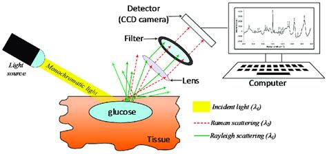 Schematic Representation Of A Basic Raman Spectroscopy Instrument