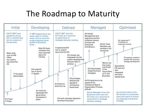 A Tailored Enterprise Architecture Maturity Model