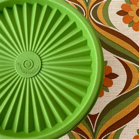 Medium Tupperware Container Green Retro Pink Peacock