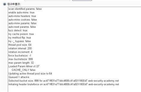 it seems like that doesn t work normally · issue 23 · portswigger