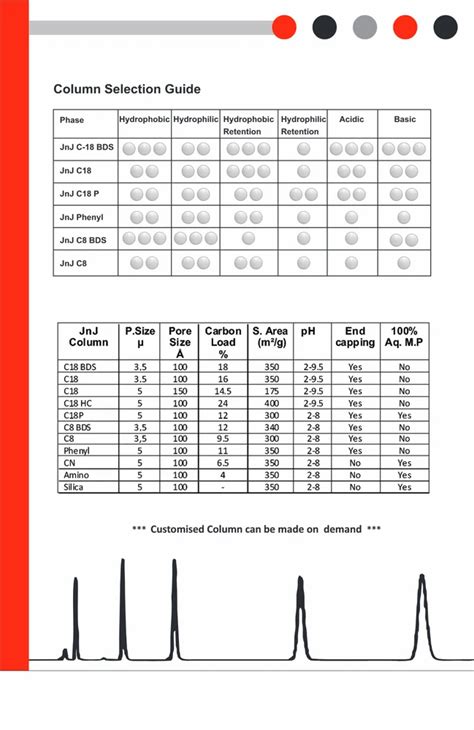 Hplc Chromatography Column At ₹ 25500 Piece Hplc Columns In Ahmedabad