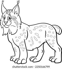 Funny Lynx