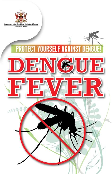 Protect Yourself Against Dengue Ministry Of Health
