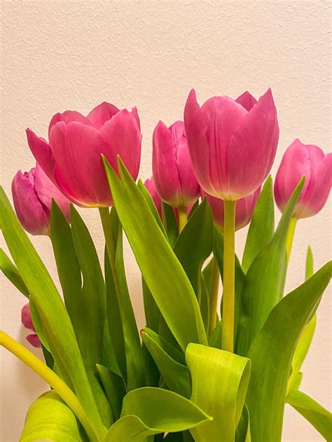 някои хора се сещат