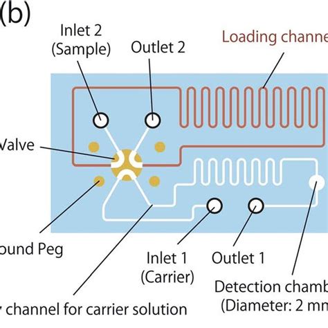 The Microchip Equipped With The 6 Port Valve A Schematic Of
