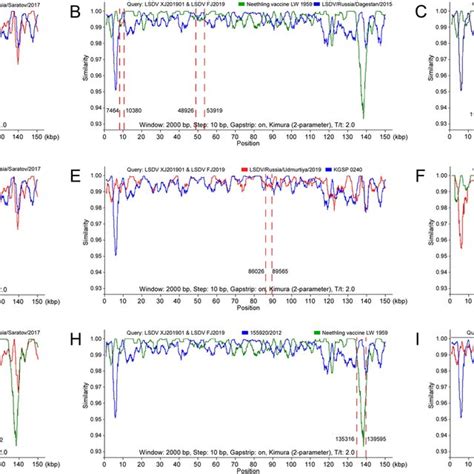 Potential Gene Recombination Events All Global Lsdv Strains Were