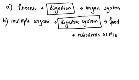 Solved Edmod2hw Snved Help Role Of The Digestive System Keyboard