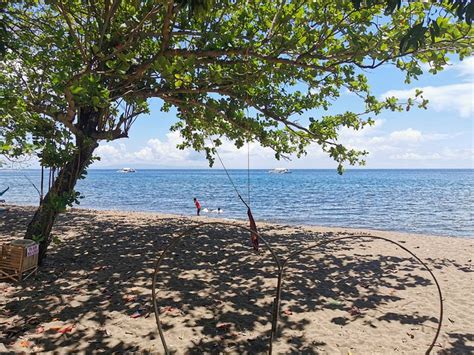 Dome Residences Dauin Beach Resort Updated Prices Reviews And Photos