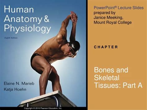 Ppt Understanding Bones And Cartilages Functions And Structure