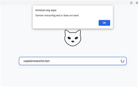 Can T Search Domain Name In Ton Format Issue Catchain Tonscan GitHub