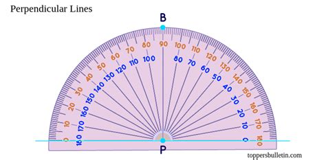 Perpendicular Lines Definition Properties Toppers Bulletin