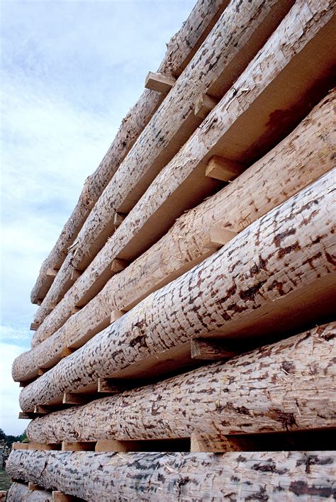 Bois De Sciage Scierie Guédon