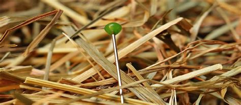 classifying the needles in the data haystack