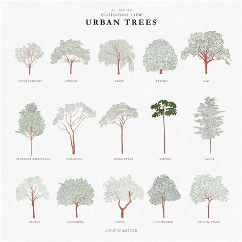10 Hq Axonometric Trees In Png Tree Photoshop Architectural Trees Architecture Collage