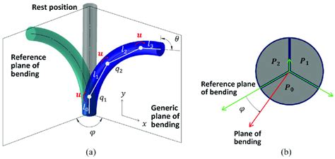A Spatial Configuration Of The Soft Continuum Manipulator And Download Scientific Diagram