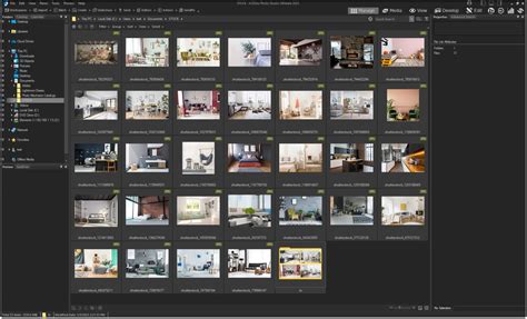 Best Photo Image Tagging Software