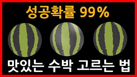 맛있는 수박의🍉 두가지 비밀 두드리기 댓츠 노노해｜빨간토마토 Youtube